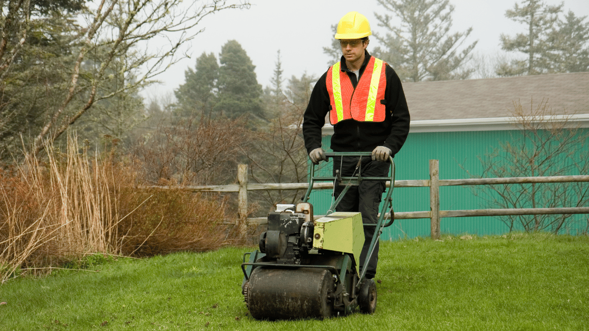 Tools for Lawn Care and Yard Maintenance